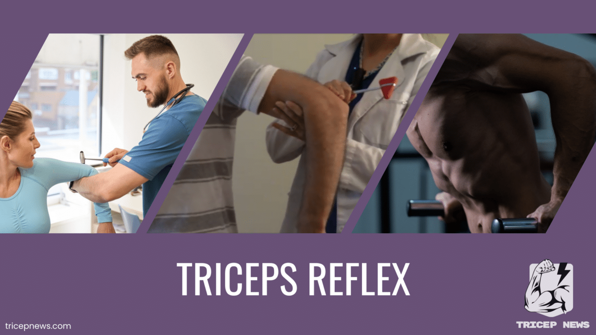 Triceps Reflex